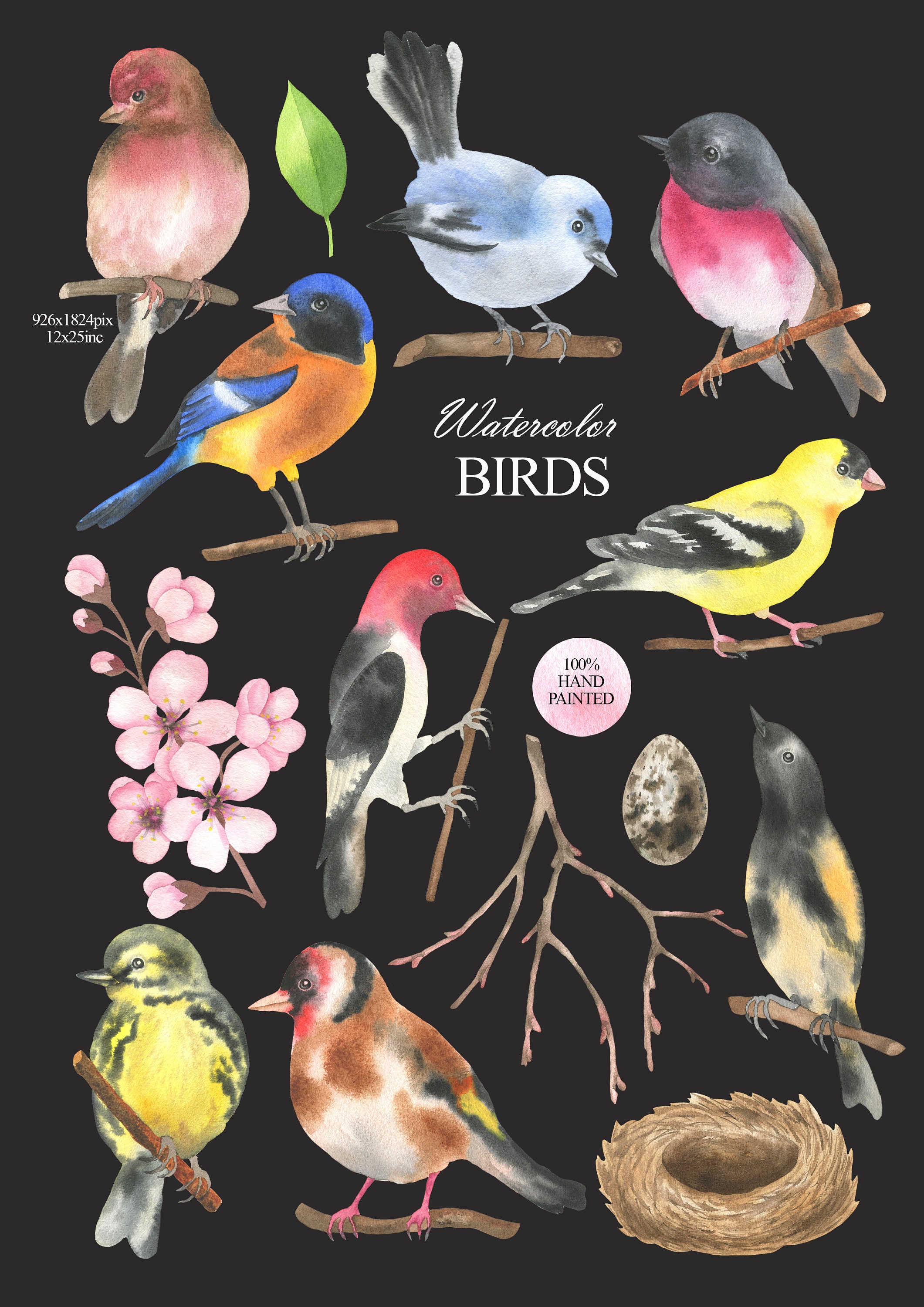 Watercolor Birds Clipart, Spring Bird Clip Art, Colorful Birds on ...