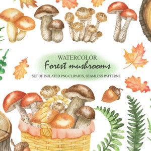 Watercolor Mushrooms Clipart Woodland Edible Mushroom Fall | Etsy