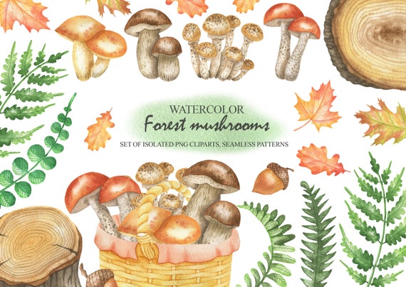 Watercolor Mushrooms Clipart Woodland Edible Mushroom Fall | Etsy