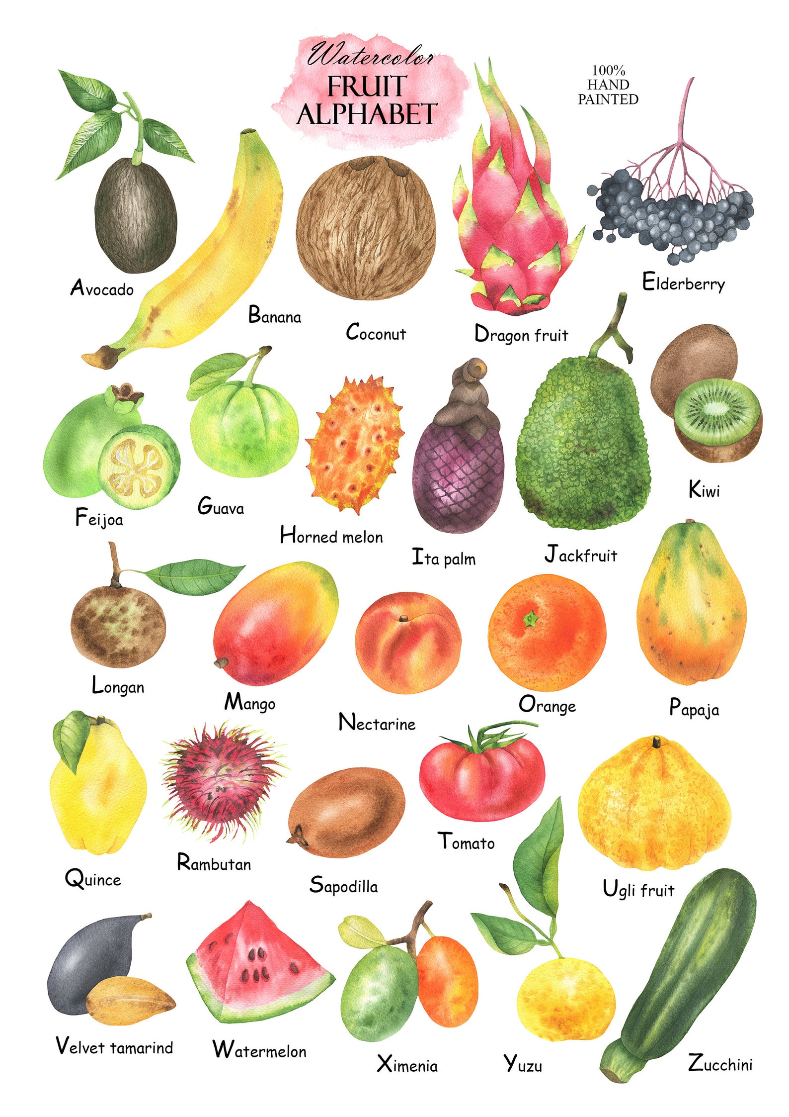 Watercolor Fruit Alphabet Clipart, Fruits ABC, Alphabet Poster ...