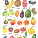 Watercolor Fruit Alphabet Clipart, Fruits ABC, Alphabet Poster ...