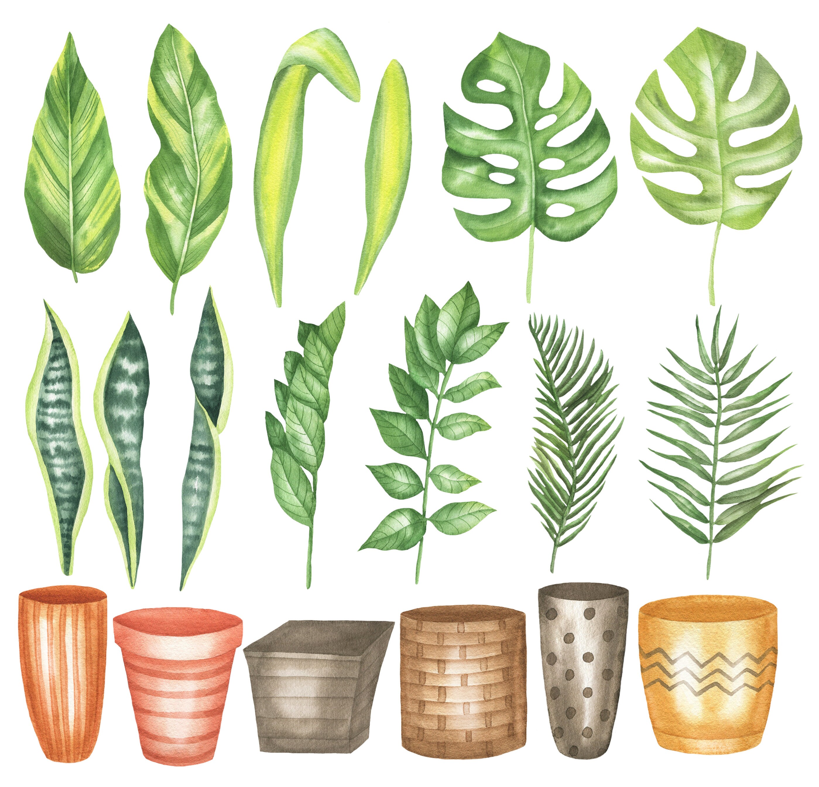 Watercolor House Plants Clipart, Tropical Exotic Plants, Potted Plant ...