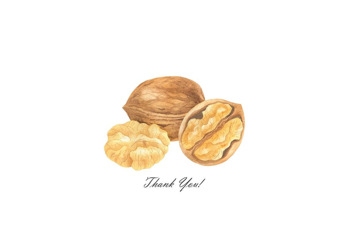 Nuts Watercolor Clipart, Pistachios, Hazelnut, Almond, Walnut, Cashew ...