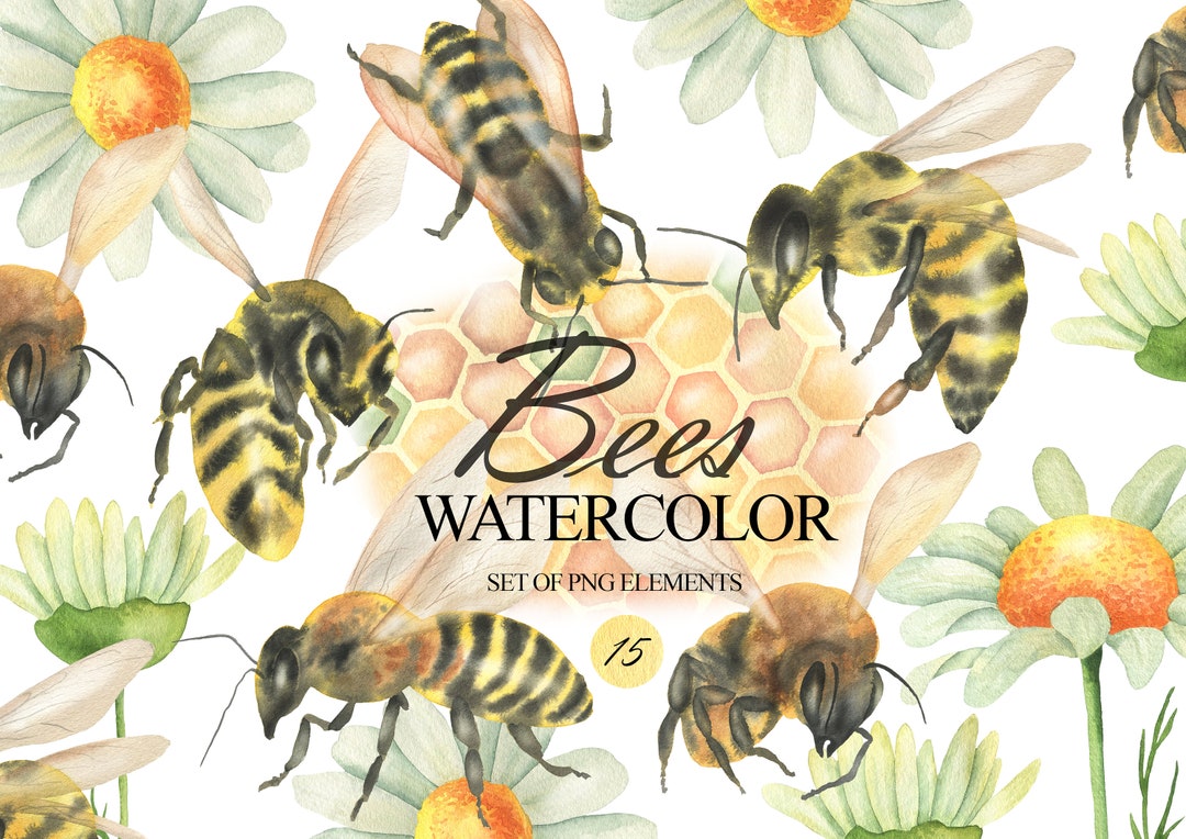 Watercolor Bee Clipart, Bees and Flowers, Honey Bee Illustration ...