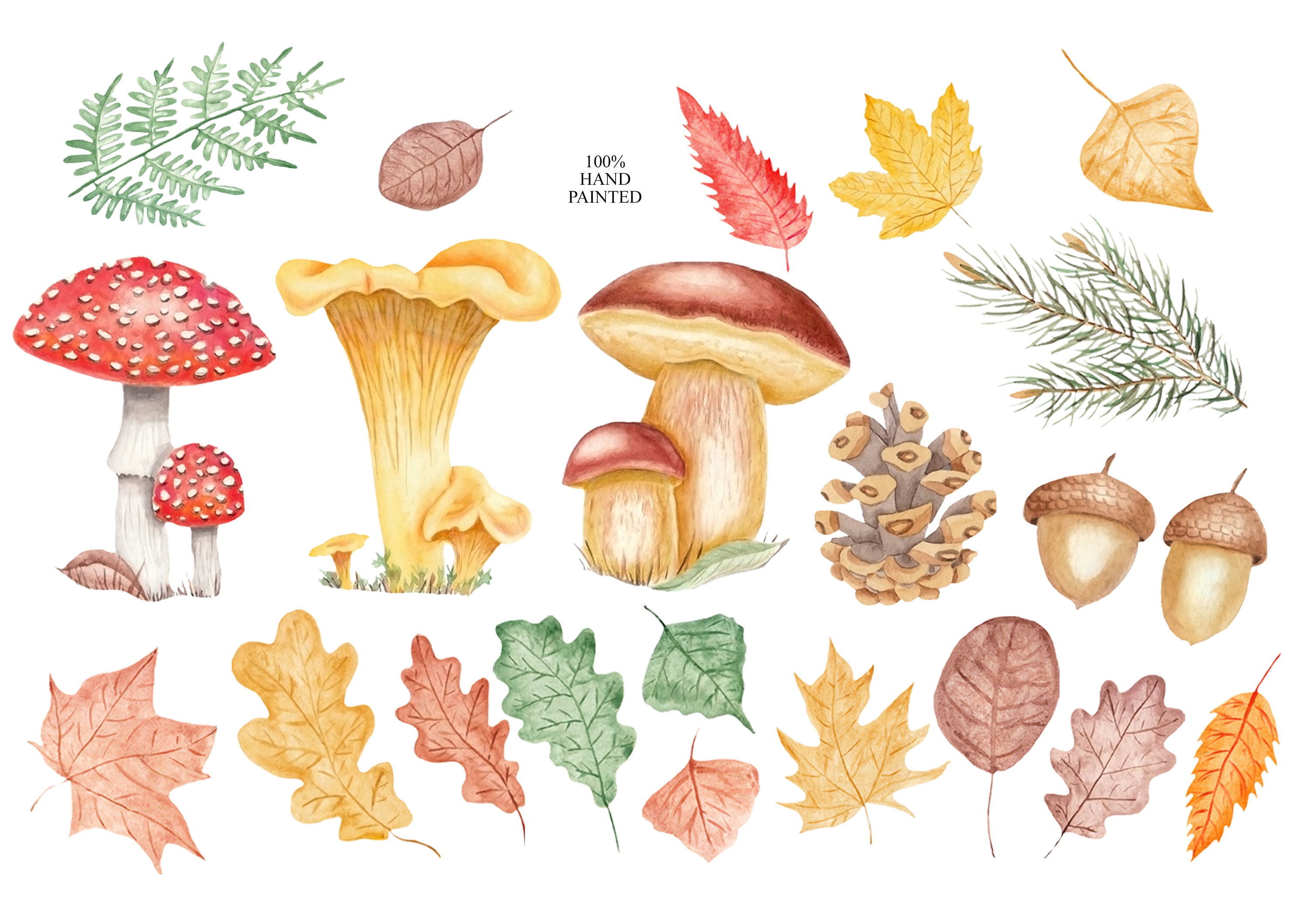 Watercolor Autumn Fox Clipart, Forest Animals, Floral Clipart ...