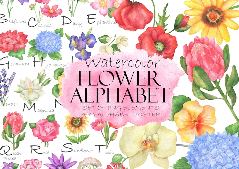 Watercolor Flower Alphabet Clipart, Flowers ABC, Alphabet Poster ...