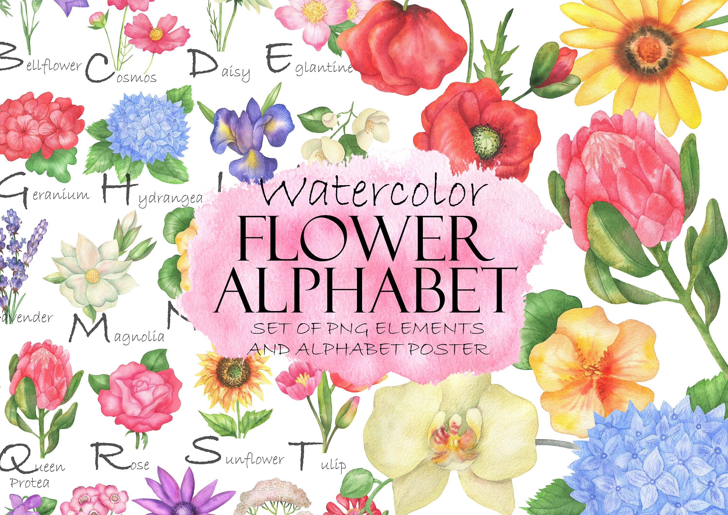 Watercolor Flower Alphabet Clipart, Flowers ABC, Alphabet Poster ...