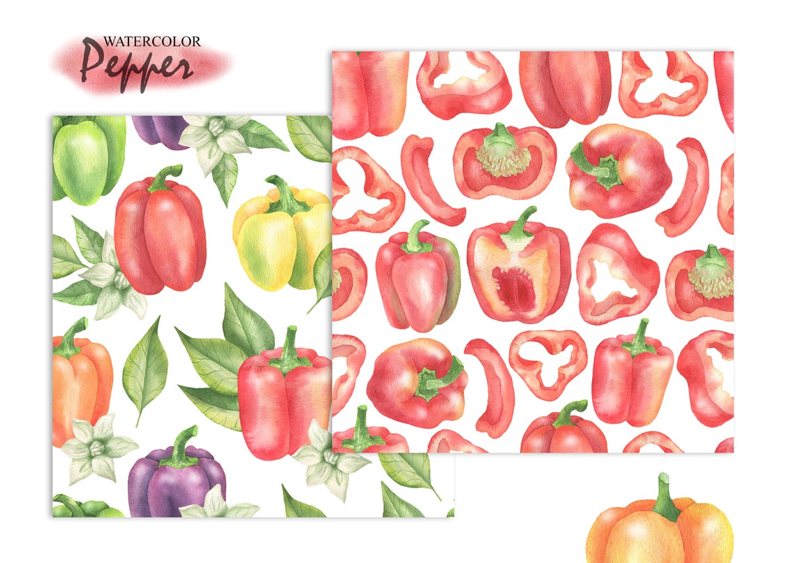 Watercolor Pepper Digital Paper Kitchen Vegetable Peppers - Etsy