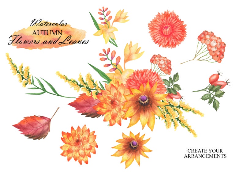 Watercolor Autumn Flowers and Leaves Clipart, Fall Autumn Floral ...