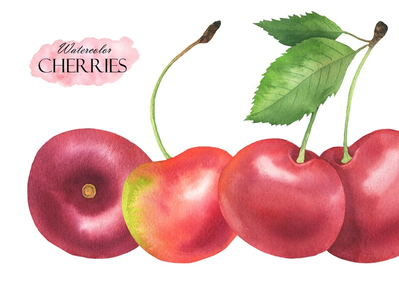 Watercolor Cherry Clipart, Cherries Branch, Summer Fresh Berries and ...