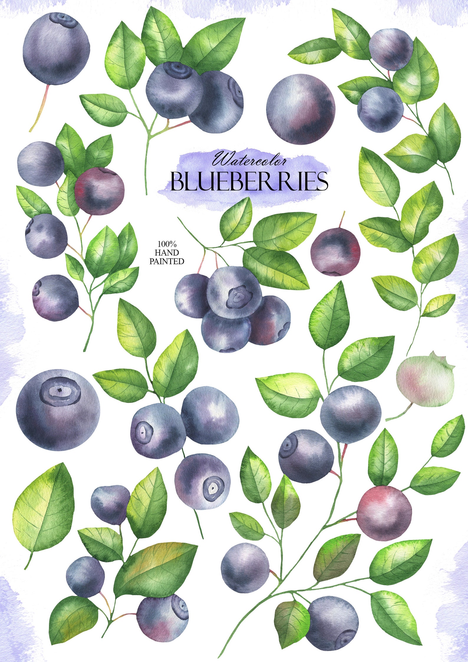 Watercolor Blueberries Clipart Summer Fresh Berries and - Etsy