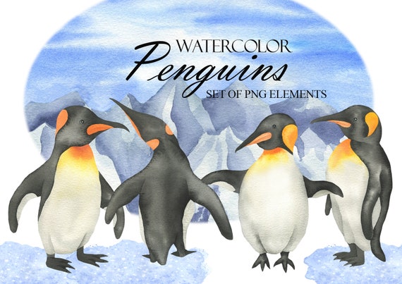 Watercolor Penguin Clipart Winter Clip Art Arctic Animals | Etsy