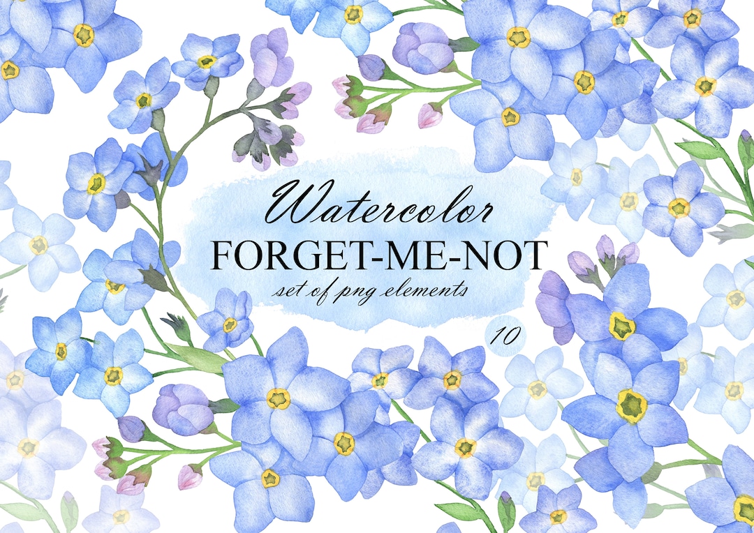Watercolor Forget Me Not Clipart, Blue Flowers Clip Art, Spring Flowers ...