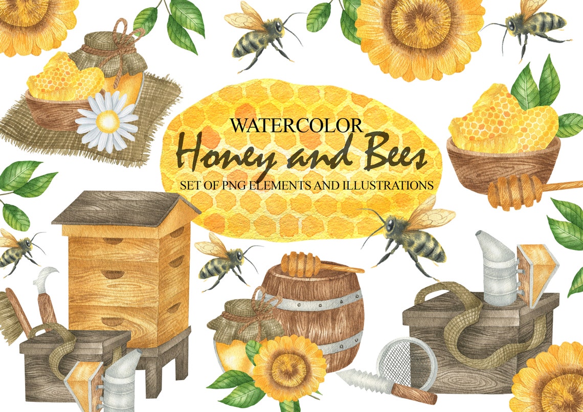 Watercolor Honey, Bee Clipart, Honeycomb, Beehive, Hand Painted Digital ...