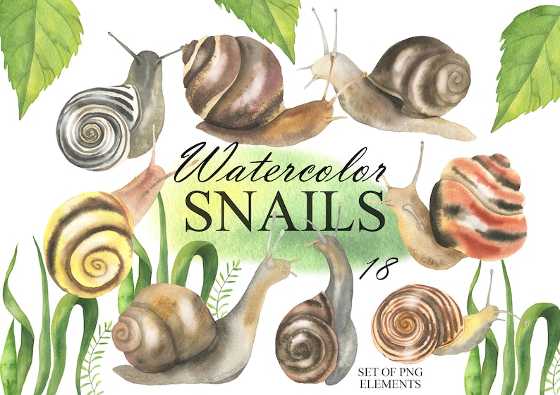 Watercolor Snail Clip Art, Colorful Snails Clipart, Garden Slug Clipart ...