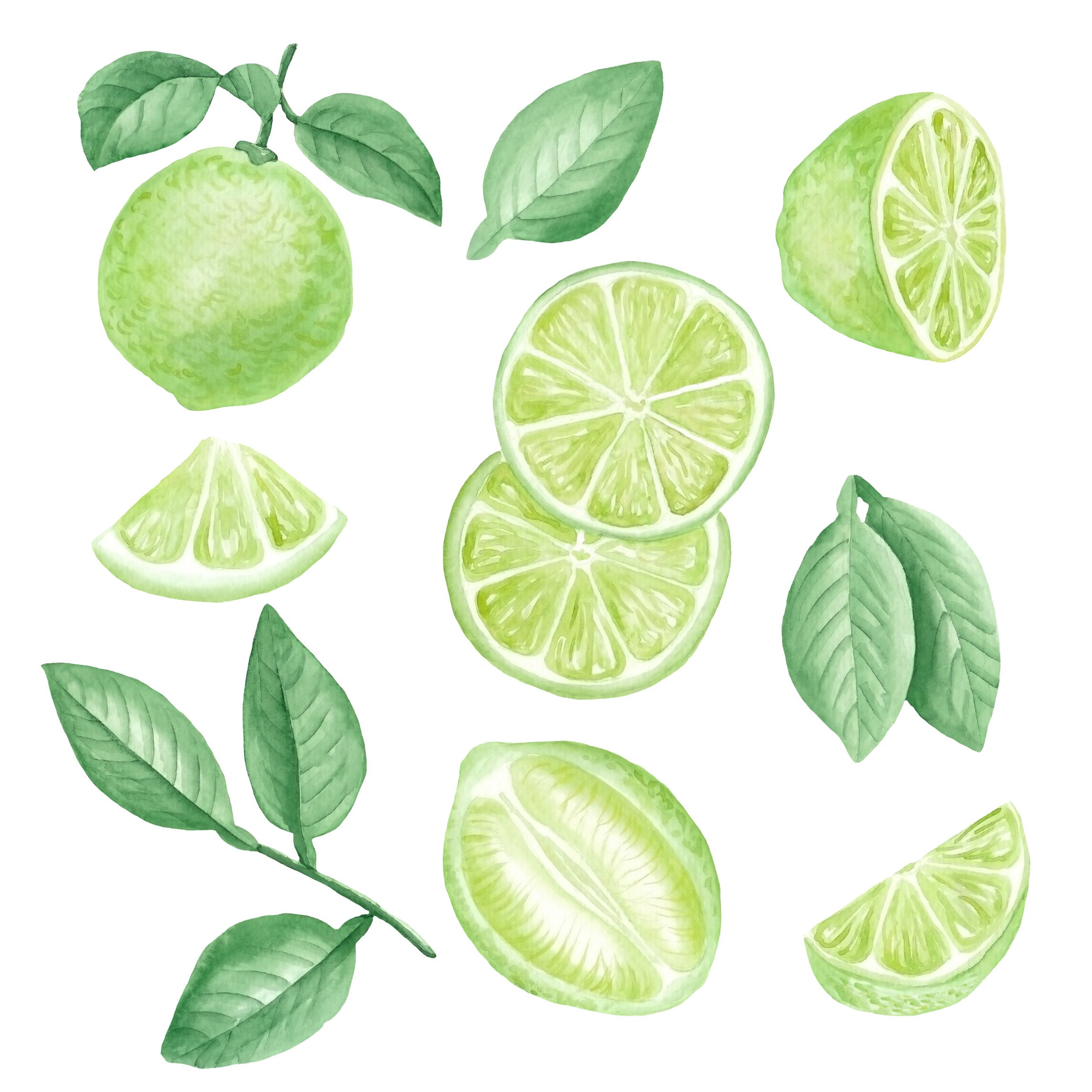 Watercolor Citrus Fruit Clipart, Fresh Summer Lemon, Orange, Grapefruit ...