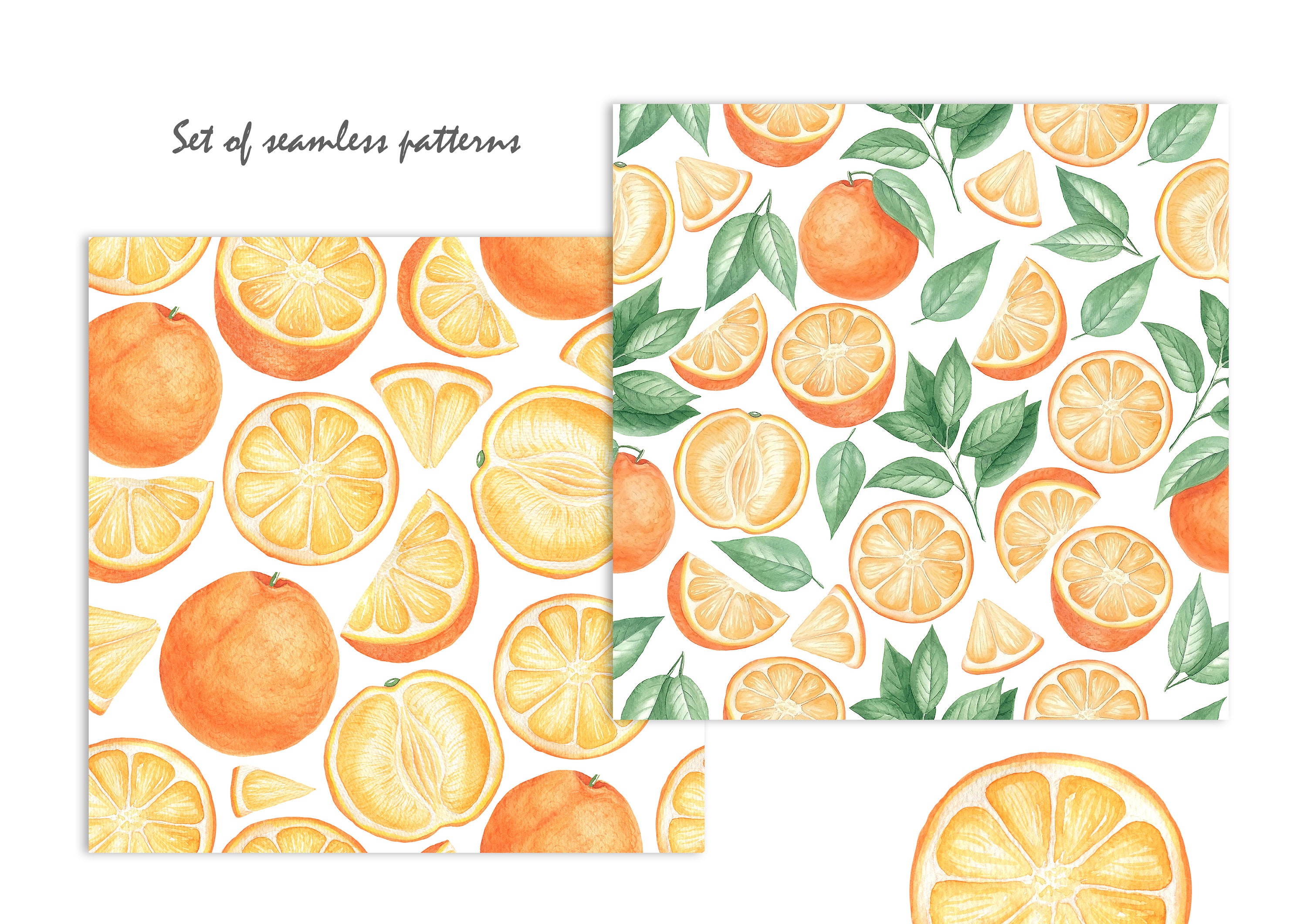Watercolor Orange Fruit Clipart Citrus Fruit Clip Art Fresh - Etsy