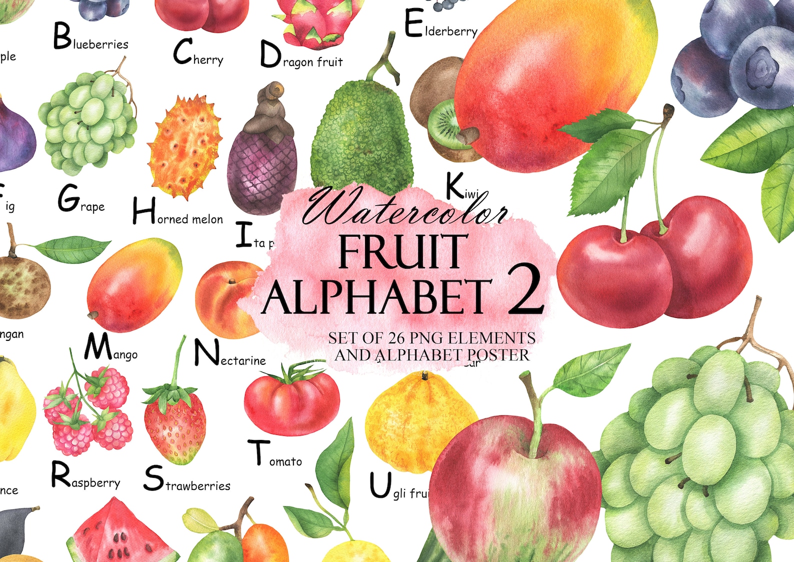 Watercolor Fruit Alphabet Clipart 2, Fruits ABC, Alphabet Poster ...