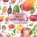 Watercolor Fruit Alphabet Clipart 2, Fruits ABC, Alphabet Poster ...