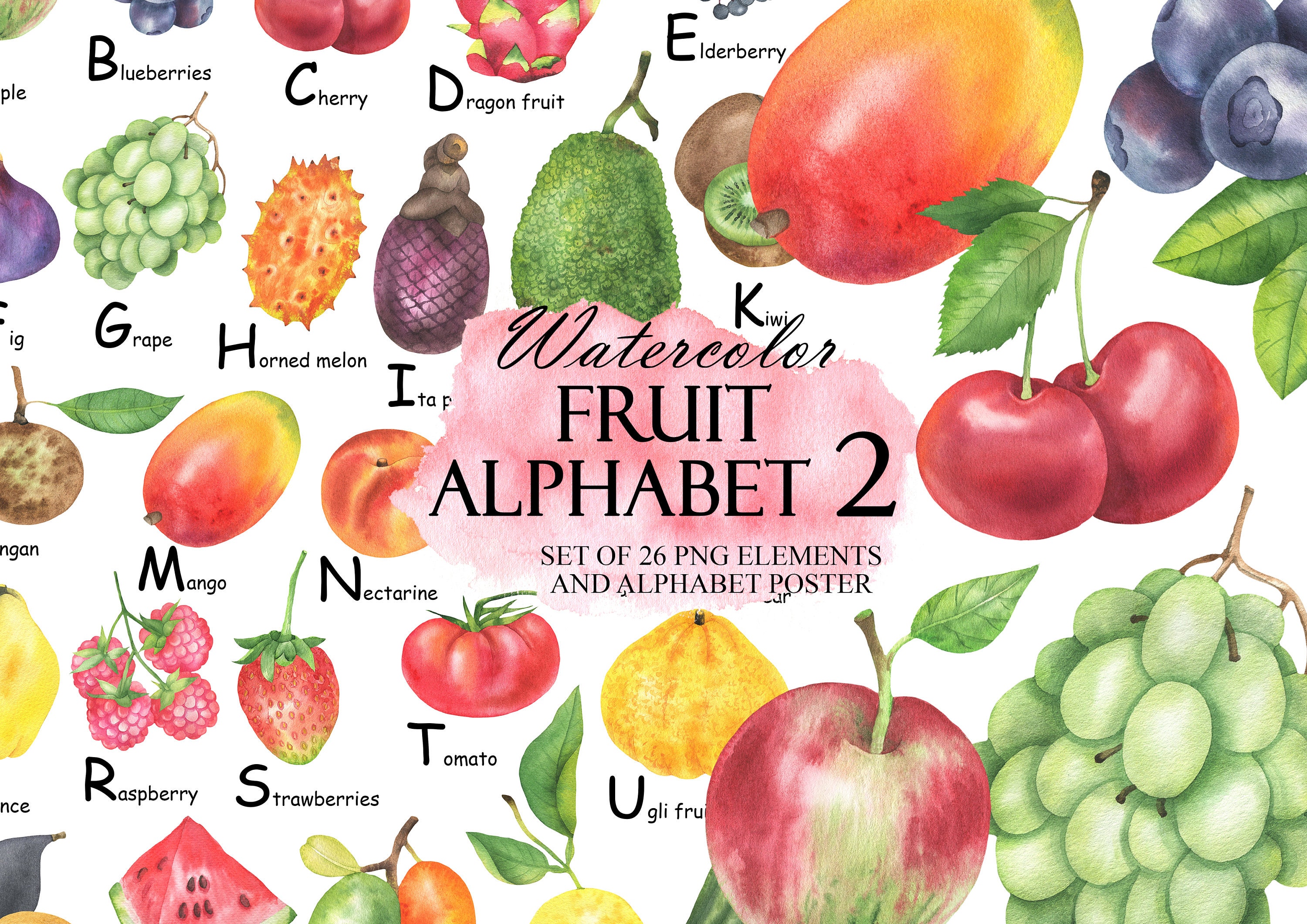 Watercolor Fruit Alphabet Clipart 2, Fruits ABC, Alphabet Poster ...