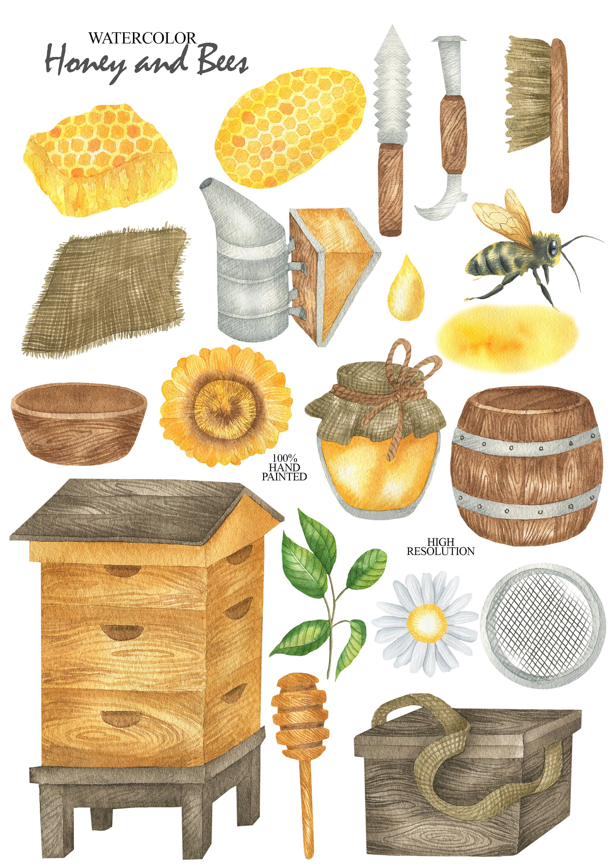 Watercolor Honey, Bee Clipart, Honeycomb, Beehive, Hand Painted Digital ...