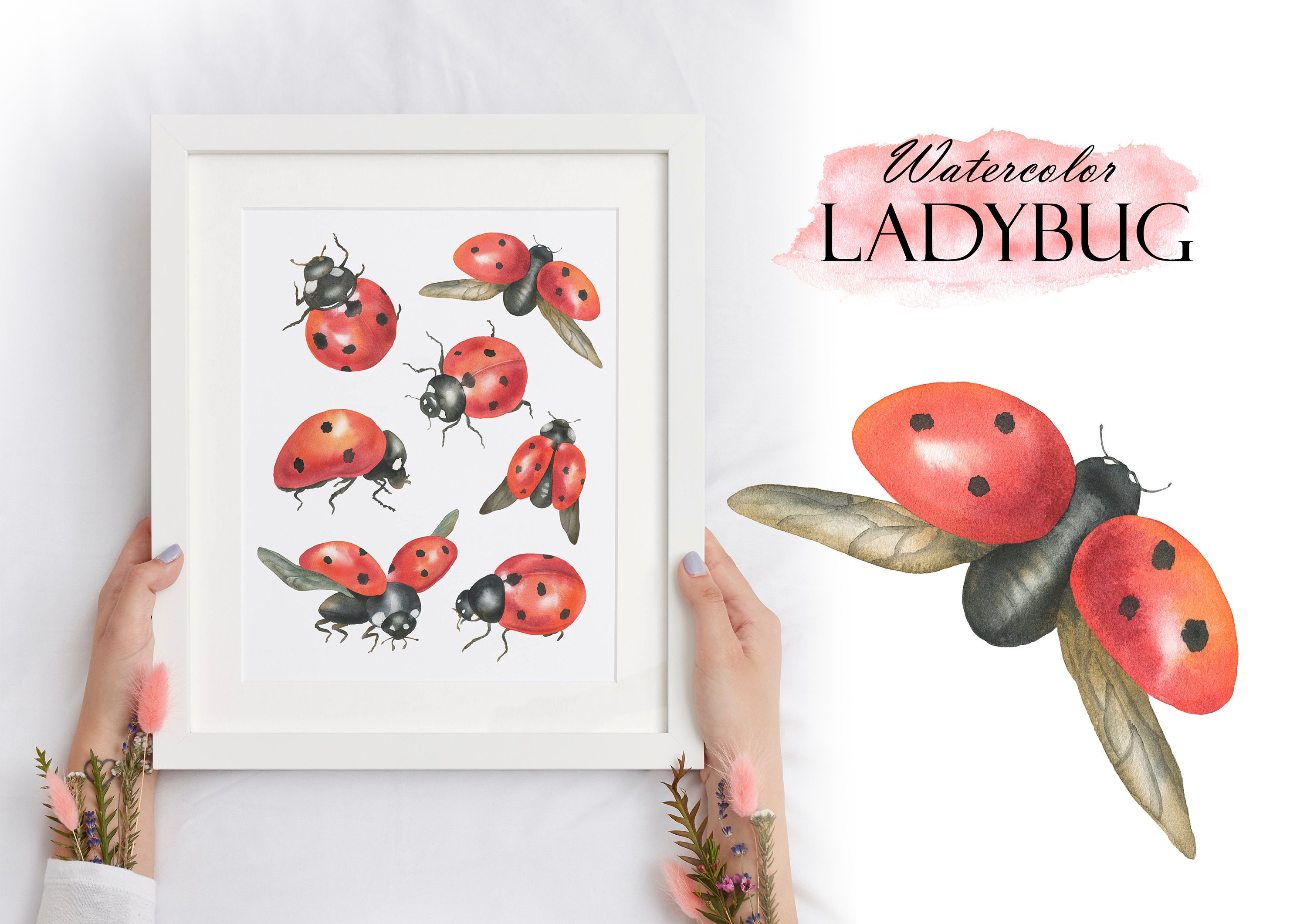 Watercolor Ladybug Clipart, Insect Clip Art, Red Ladybugs, Summer ...