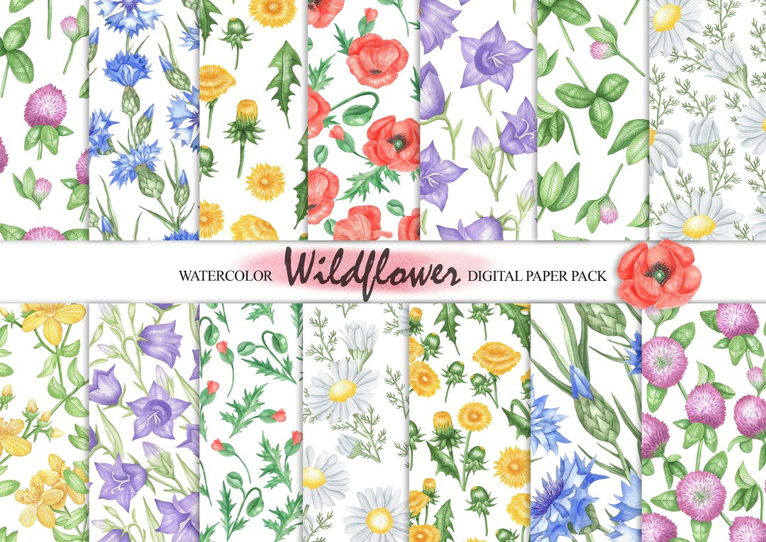 Wildflower Floral Digital Paper Pack, Watercolor Seamless Patterns of ...
