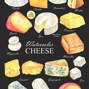 Watercolor Cheese Clipart, Types of Cheeses, Cheese Clip Art ...