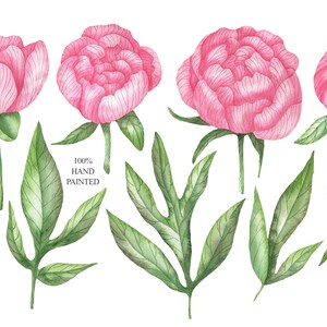 Watercolor Peonies Clipart, Pink Peony Clip Art, Spring Summer Flowers ...