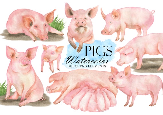 Small Pig Clip Art