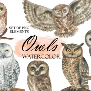 Owls Watercolor Clipart, Forest Birds Clip Art, Magical Owls, Woodland ...