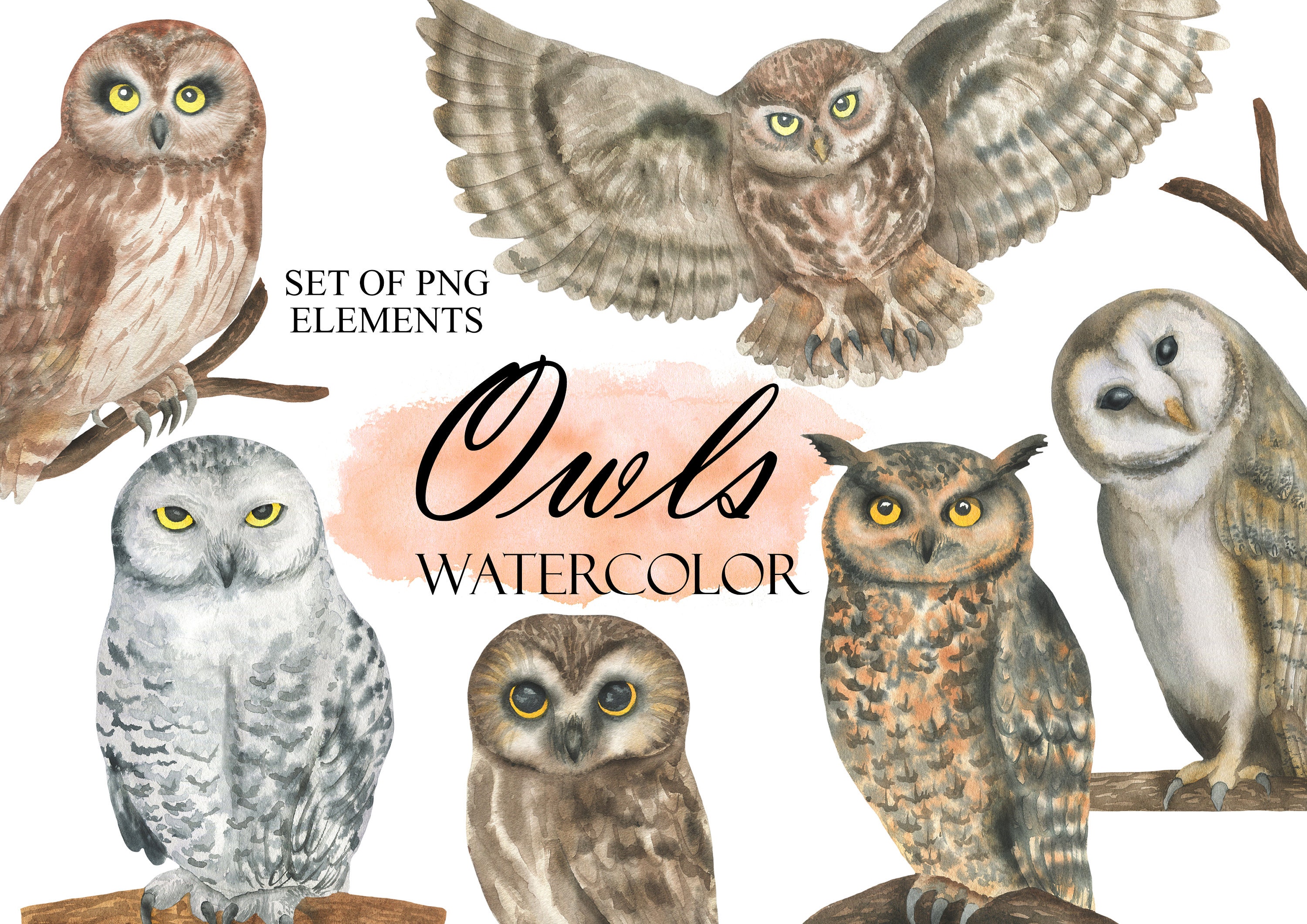 Owls Watercolor Clipart, Forest Birds Clip Art, Magical Owls, Woodland ...