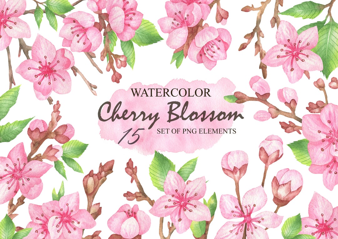 Cherry Blossom Clipart, Watercolor Pink Sakura Flowers, Spring Floral ...