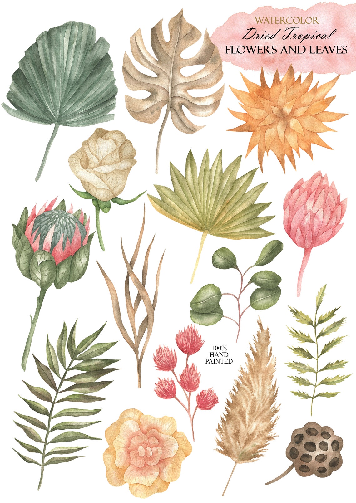 Watercolor Boho Floral Clipart Dried Tropical Flowers and - Etsy