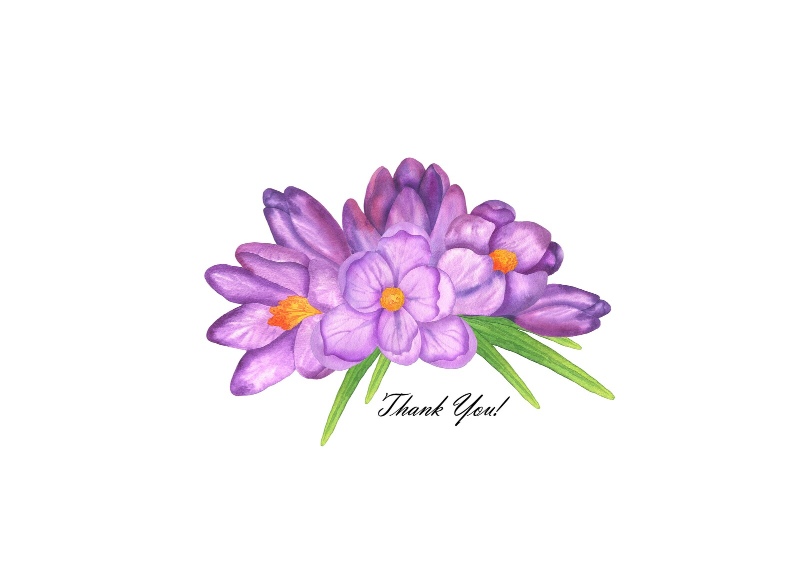 Watercolor Crocuses Clipart, Spring Flowers Clip Art, Crocus Bouquet ...