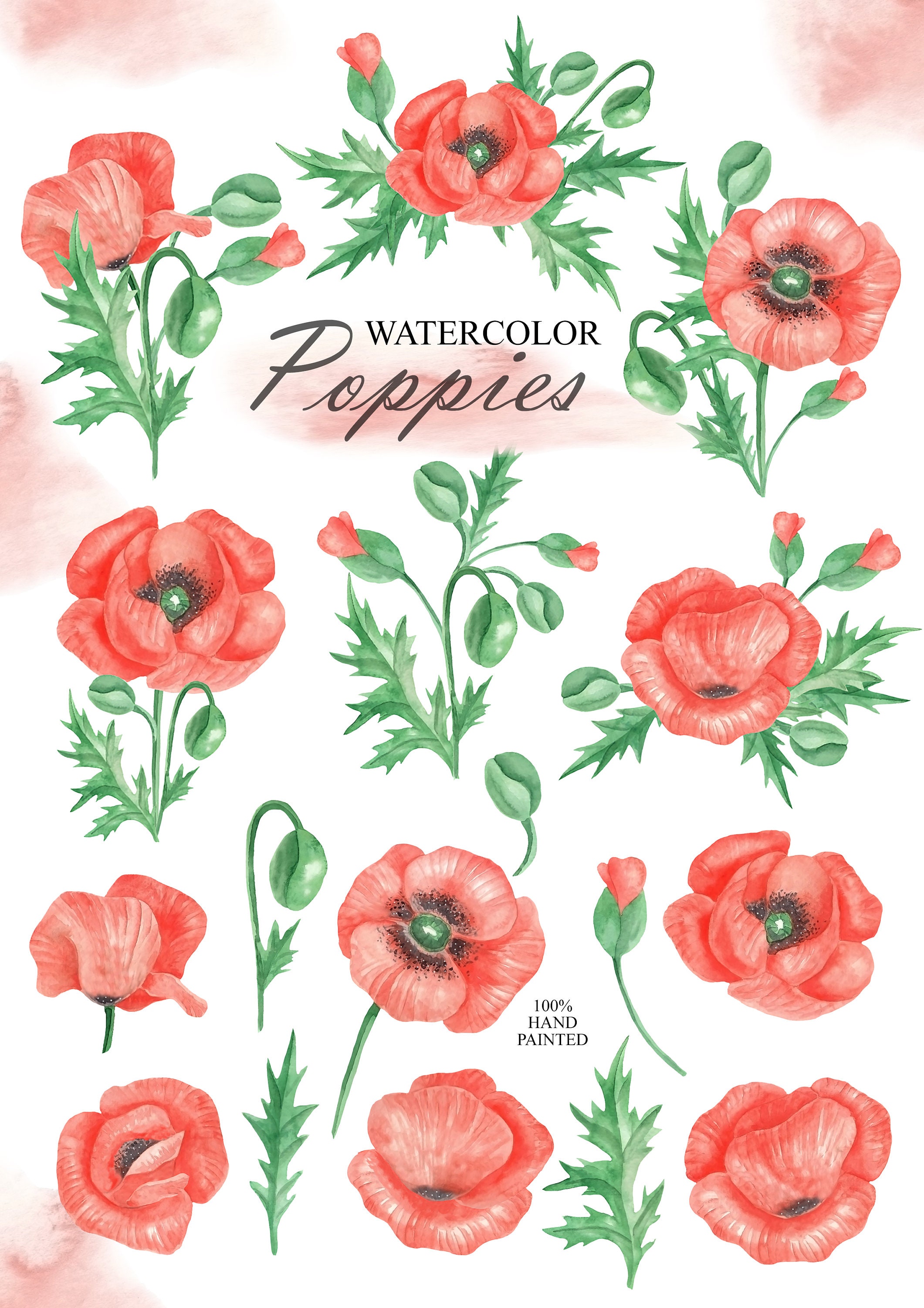 Watercolor Poppies Flowers Clipart, Wild Flowers, Field Flowers, Wreath ...