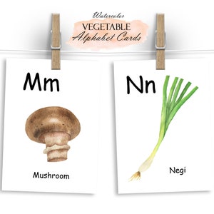 Watercolor Vegetable Alphabet ABC Card, Learning Letters, Printable ...