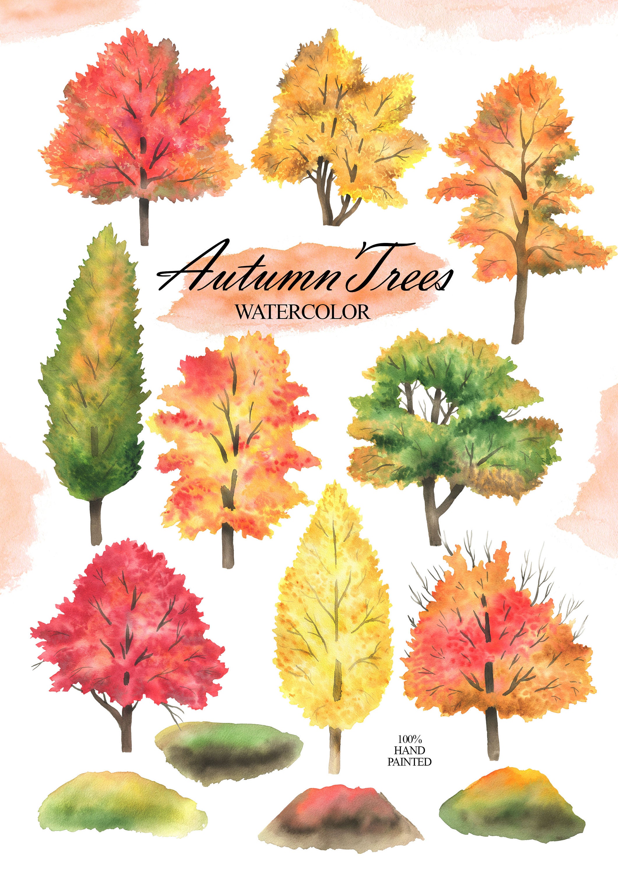 Watercolor Autumn Trees Clipart, Fall Tree Clip Art, Forest Trees ...