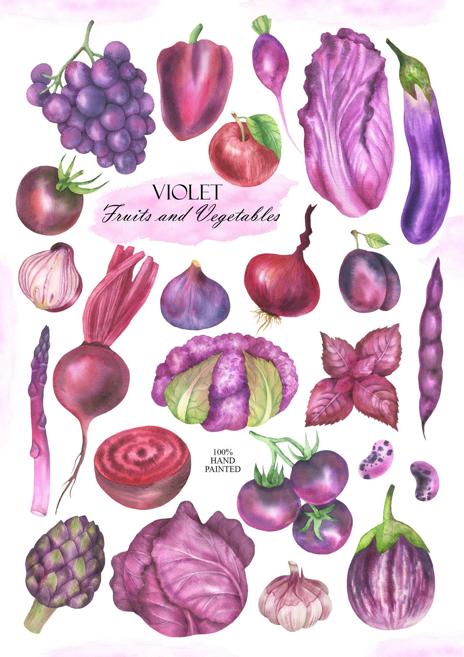 Watercolor Violet Fruits and Vegetables Clipart (PNG) - Etsy