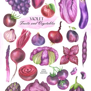 Watercolor Violet Fruits and Vegetables Clipart (PNG) - Etsy