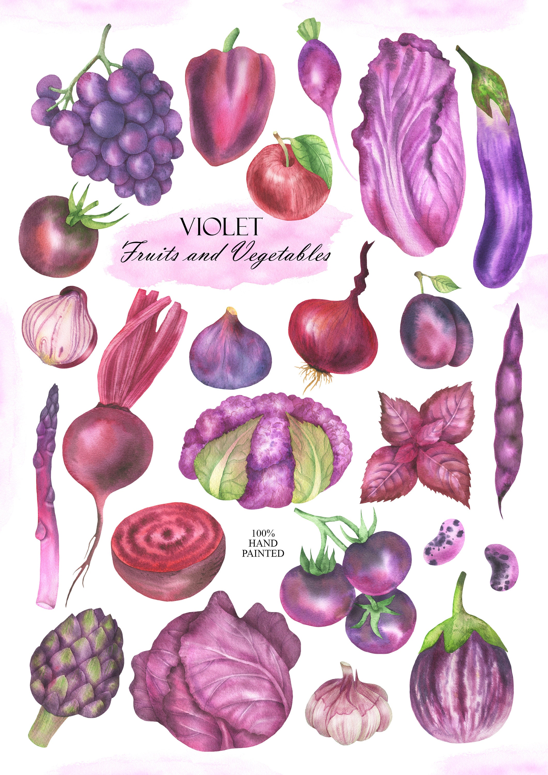Watercolor Violet Fruit and Vegetables Clipart, Farm and Kitchen ...