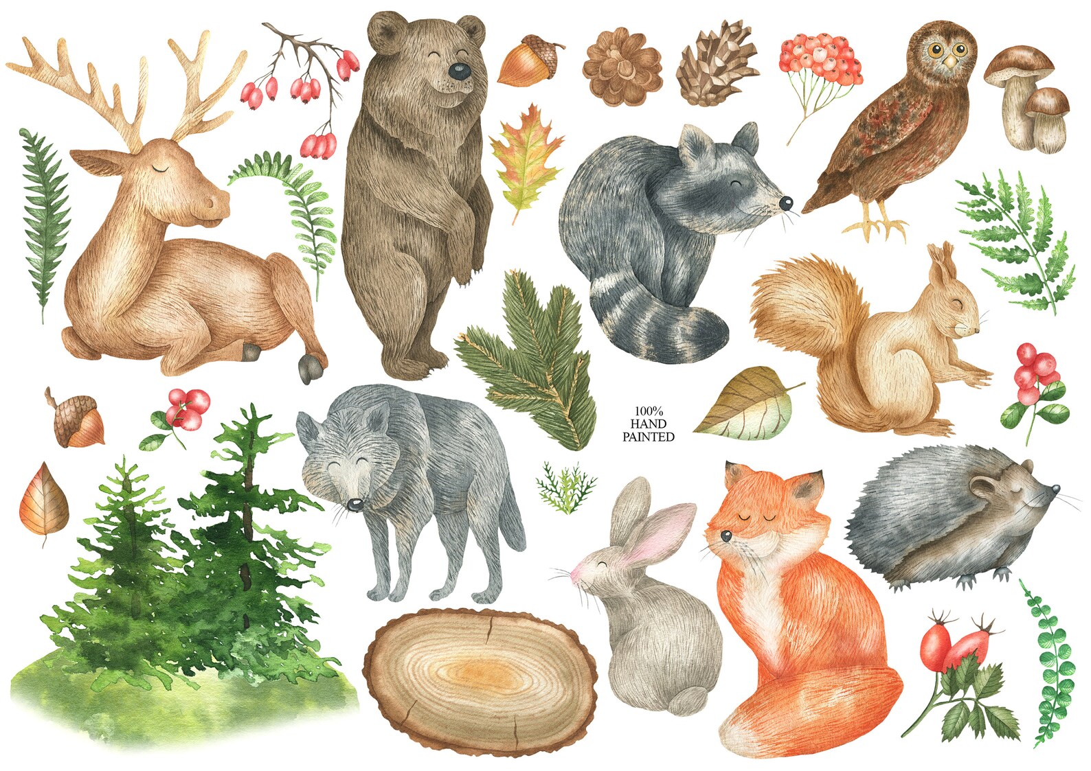 Watercolor Woodland Animals Clipart Graphics, Forest Baby Animal Clip ...