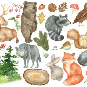 Watercolor Woodland Animals Clipart Graphics, Forest Baby Animal Clip ...