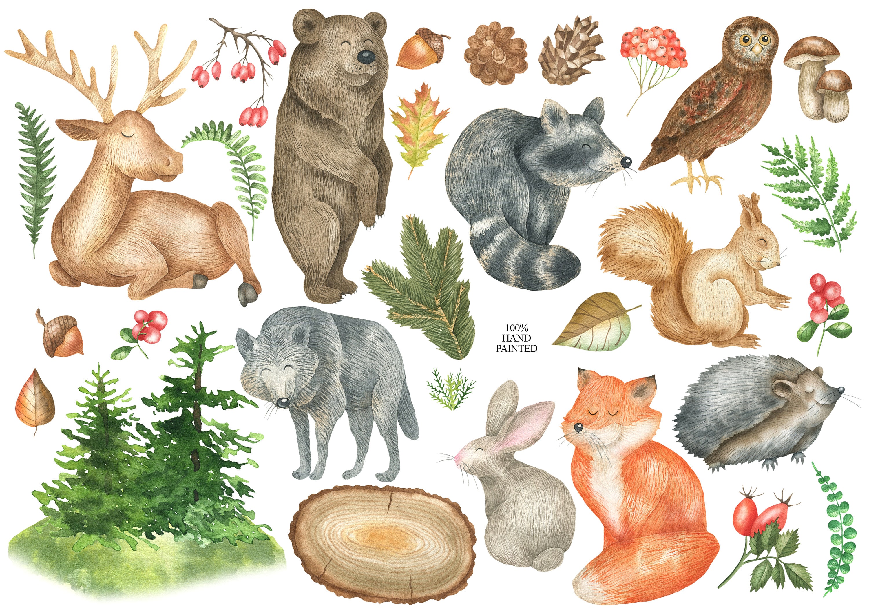 Watercolor Woodland Animals Clipart Graphics Forest Baby - Etsy