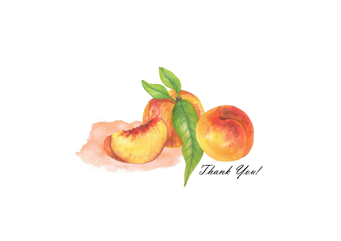Watercolor Peach Clipart, Peaches Clip Art, Slices of Peach, Fresh ...