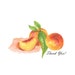 Watercolor Peach Clipart, Peaches Clip Art, Slices of Peach, Fresh ...