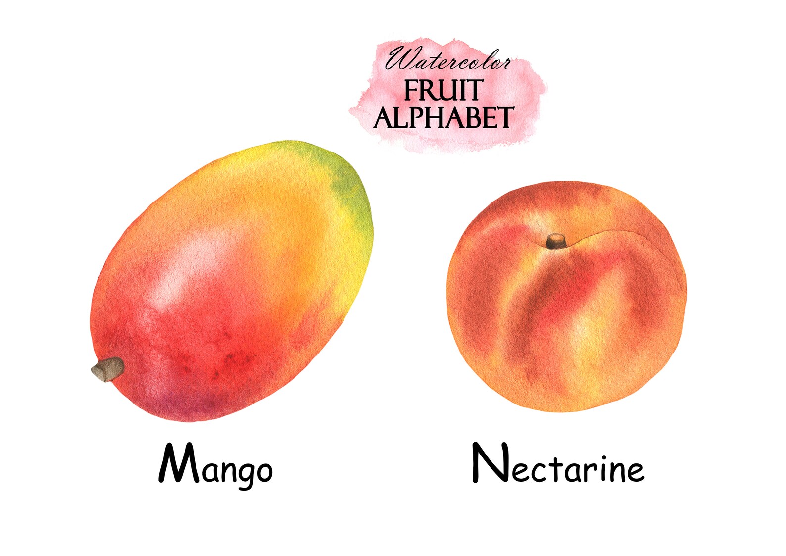 Watercolor Fruit Alphabet Clipart, Fruits ABC, Alphabet Poster ...