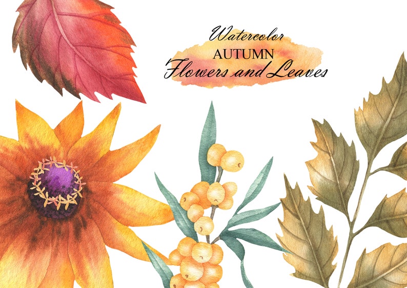 Watercolor Autumn Flowers and Leaves Clipart, Fall Autumn Floral ...