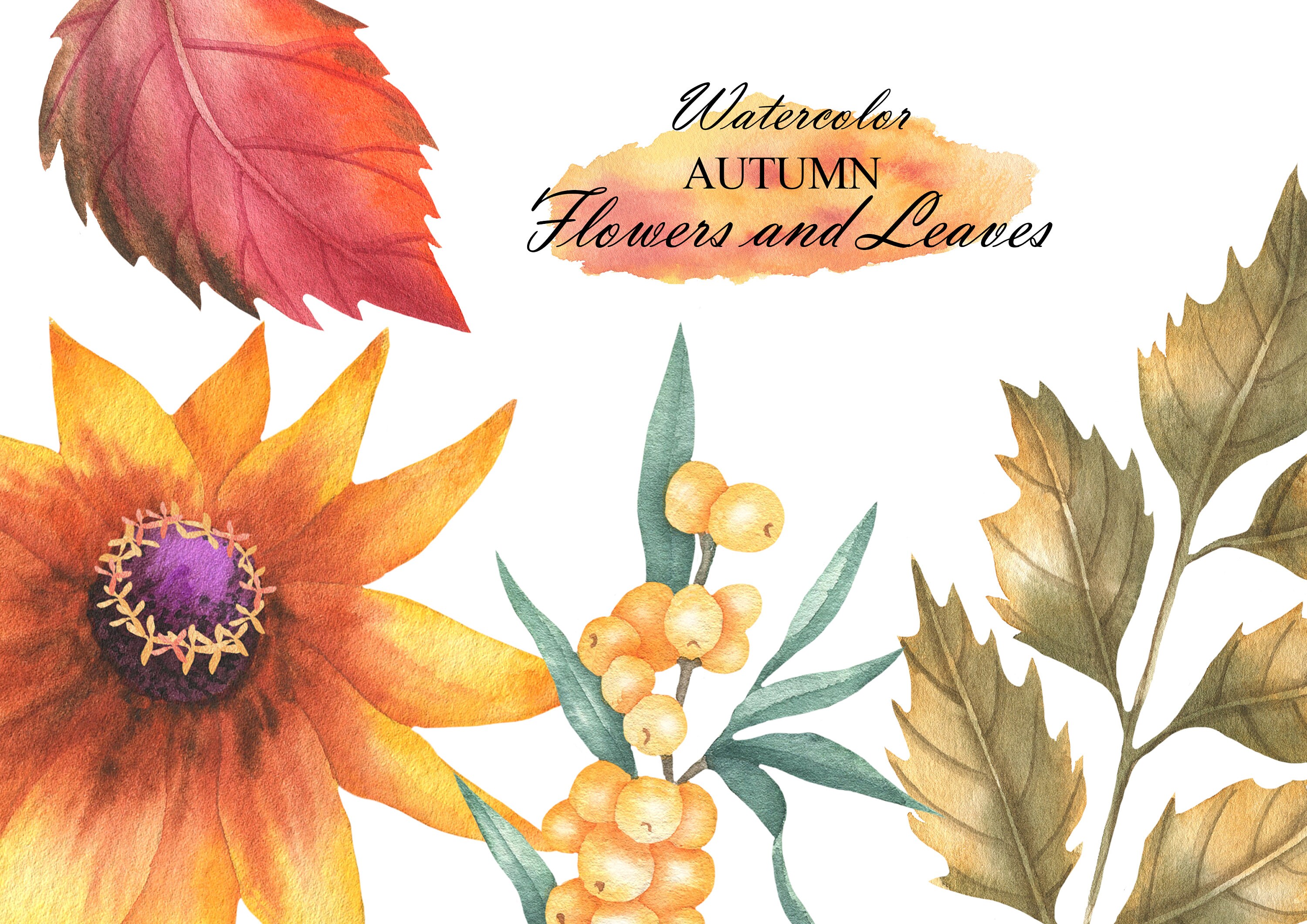 Watercolor Autumn Floral Clipart, Fall Flowers, Leaves (PNG) - Etsy