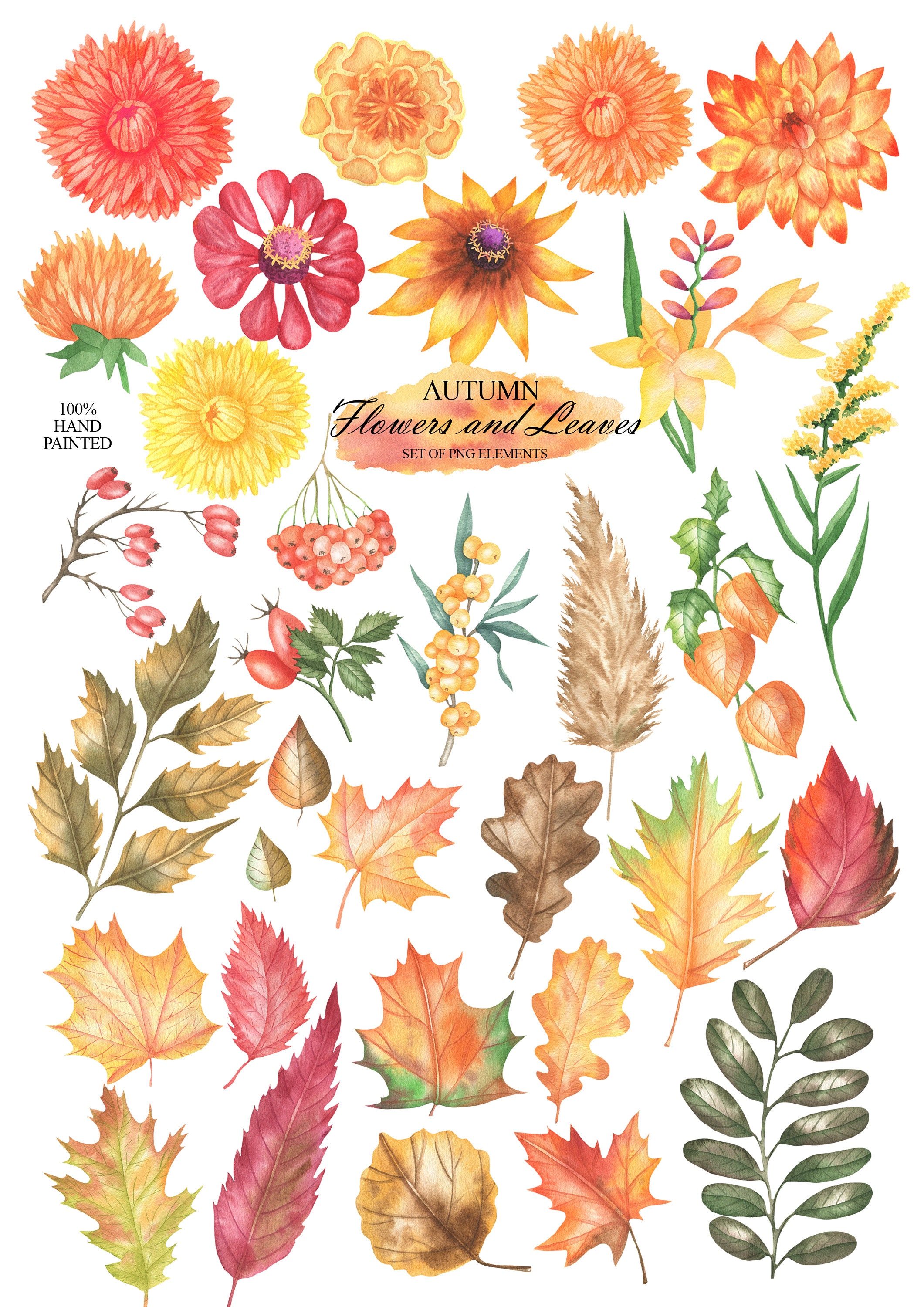 Watercolor Autumn Floral Clipart, Fall Flowers, Leaves (PNG) - Etsy